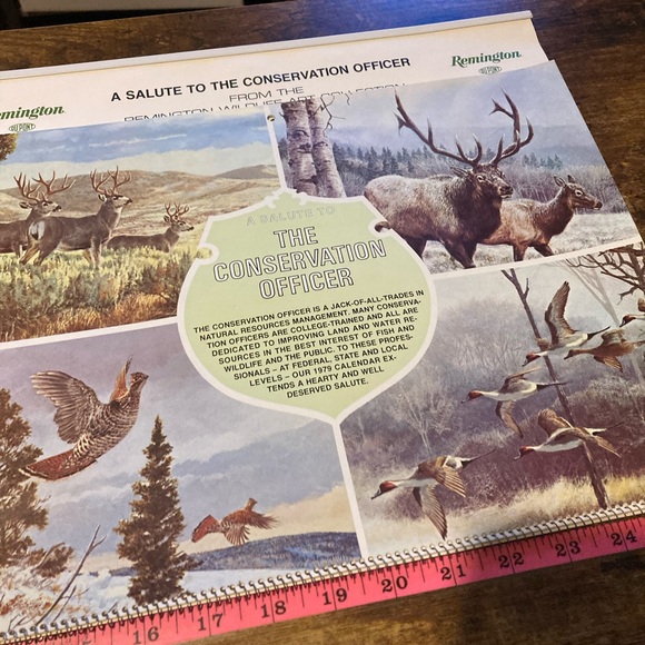 Remington Arms | Accents | Vintage 979 Remington Arms Calendar | Poshmark